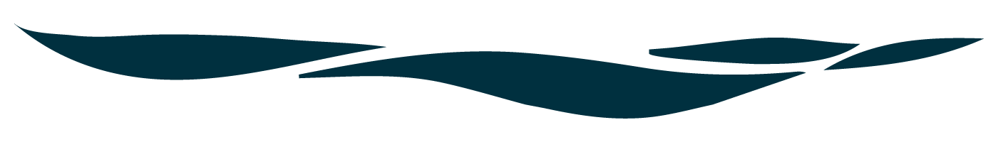 Homepage - Safe Passage